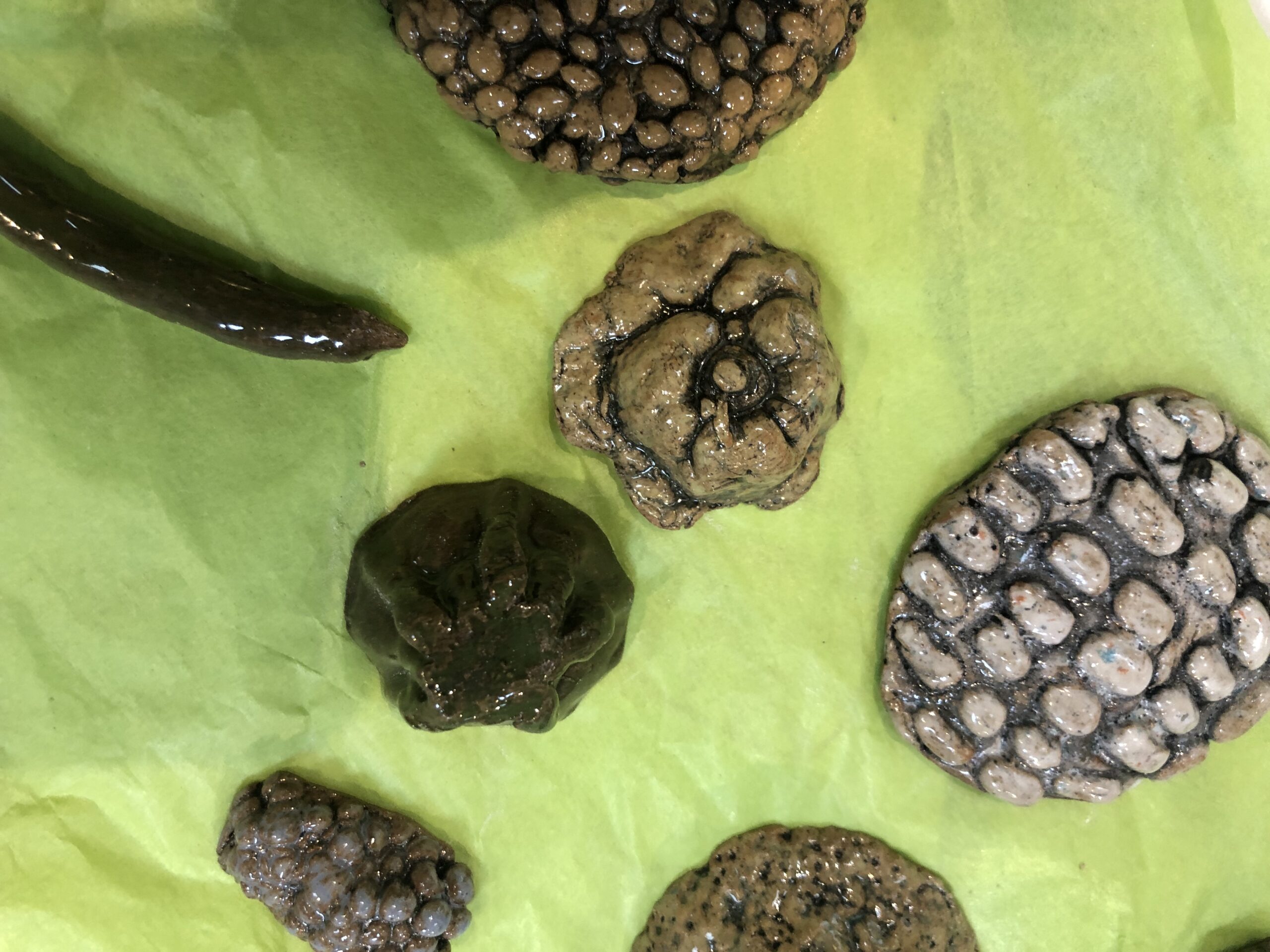 16th May - Ceramic sprig mould making with Aliyah Hussain at the Pioneers Museum - Your Trust